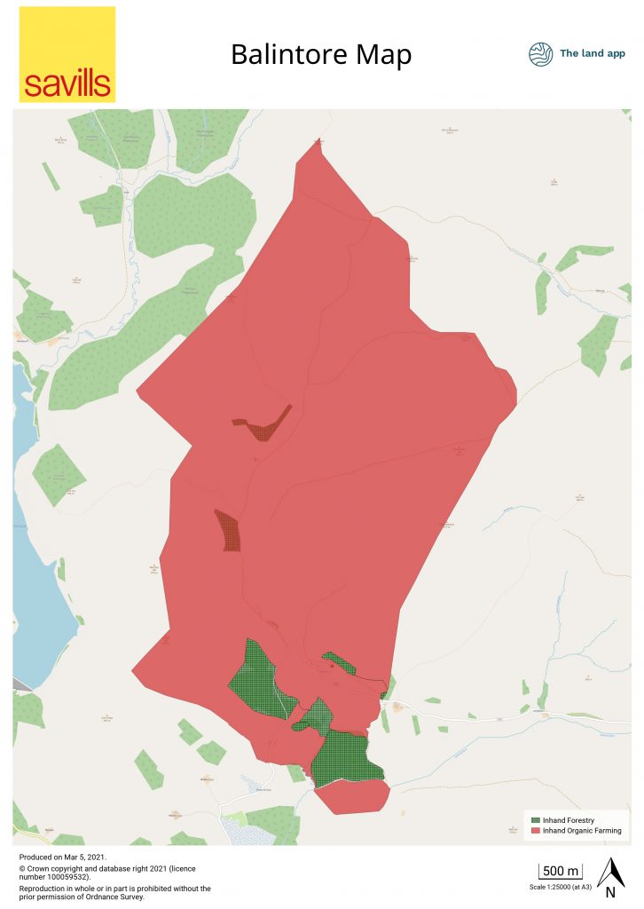 Maps - Kinnordy Estate